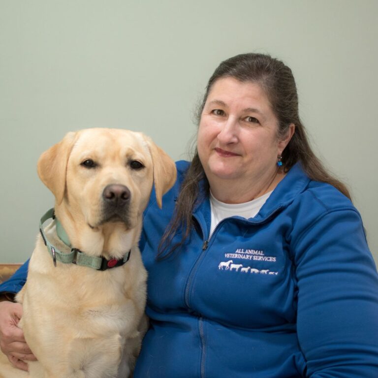 About All Animal Veterinary Services, Modena, NY